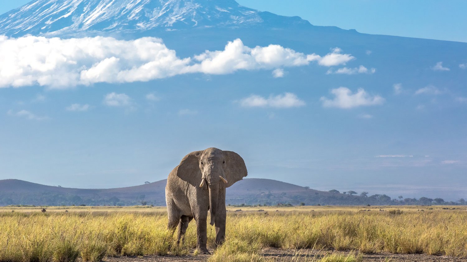 Kenya Flight Safaris 2026 | Routes and Planning Guide | Plentiful ...